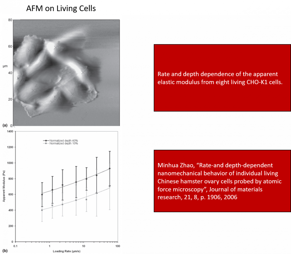 AFM Methods | HueyAFM Labs